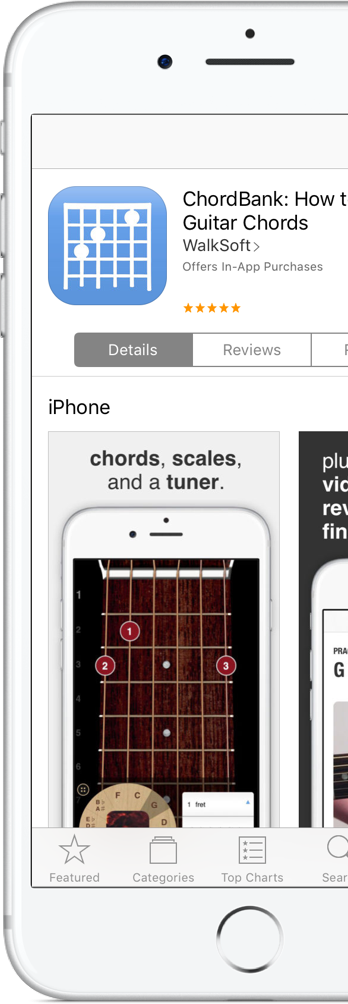 4 Easy Bruce Springsteen songs to play on the guitar | ChordBank
